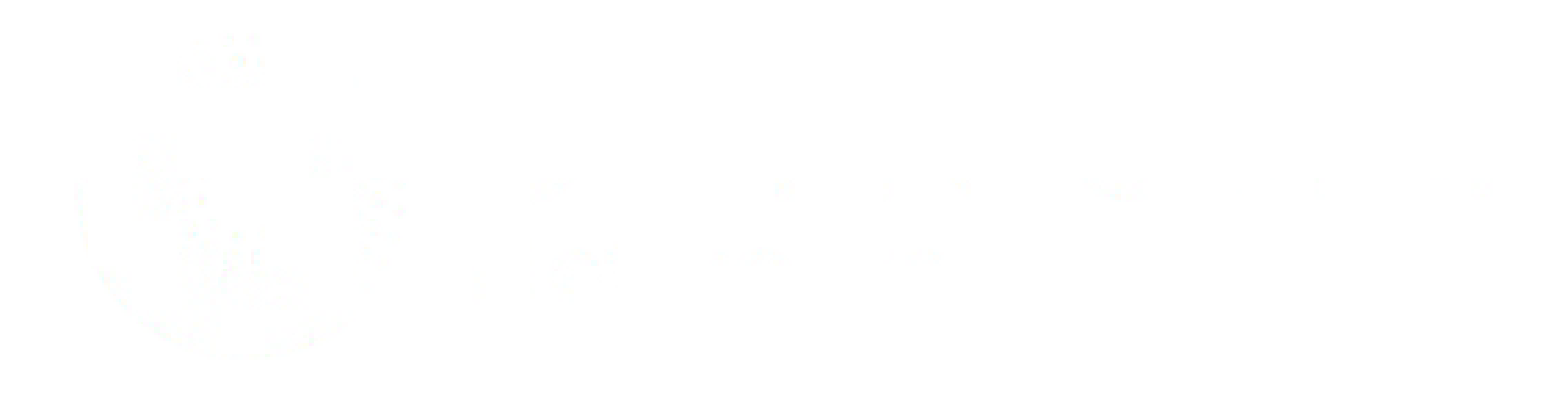 Occom – Optical – Communication -Expert